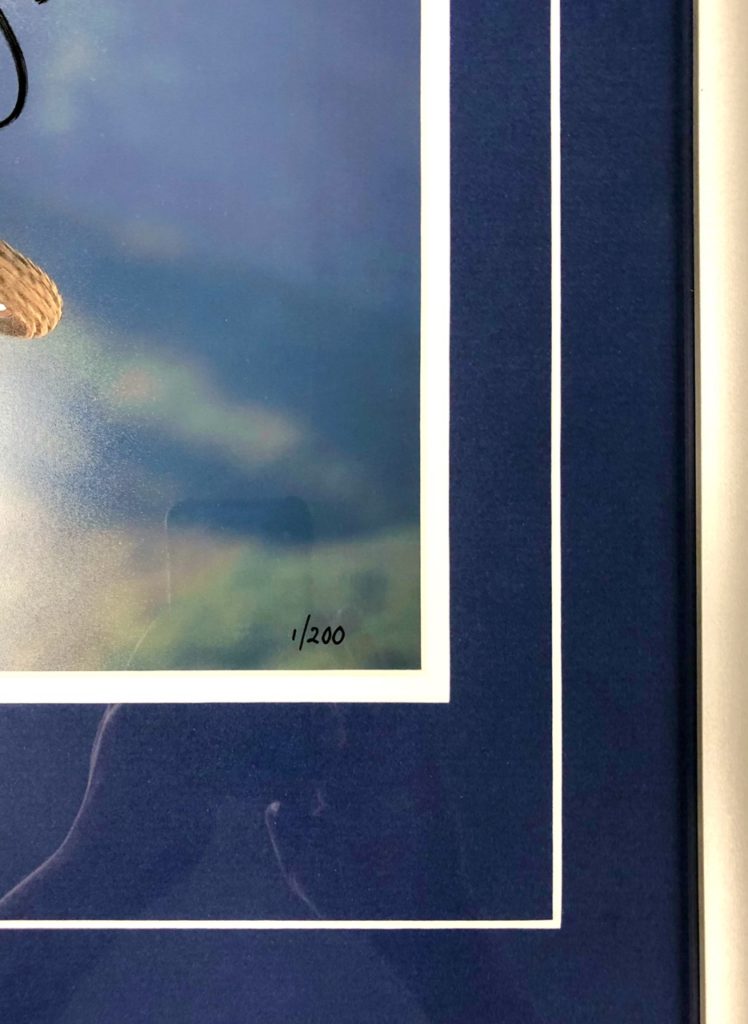 Chad Reed Air Time - Autographed Collectables